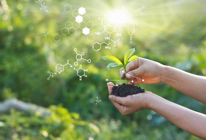 Advantages and Disadvantages of Biotechnology