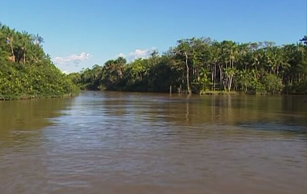 Freshwater Biome - Location, Climate, Temperature, Plants and Animals