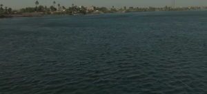 Freshwater Biome - Location, Climate, Temperature, Plants and Animals