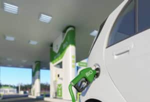 Biofuels vs. Fossil Fuels: A Roadmap to a Sustainable Energy Future