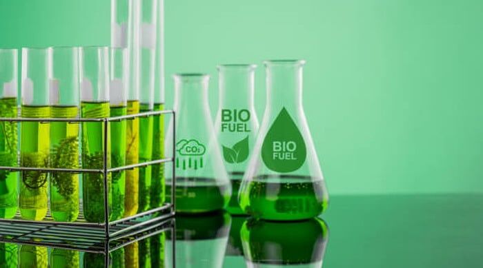 Advantages and Disadvantages of Biotechnology